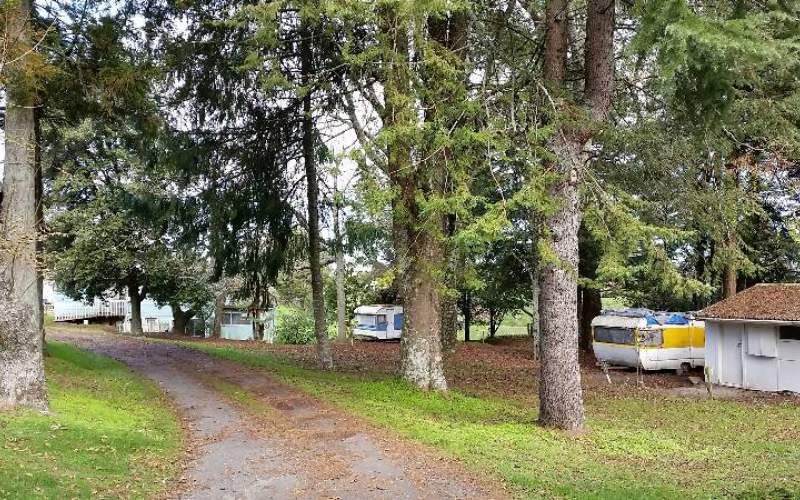 Tokoroa Motor Camp | Full Service Camp | New Zealand